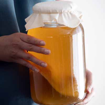 Kombucha, Water Kefir & Milk Kefir - Jenny Pandol- Fermentationist